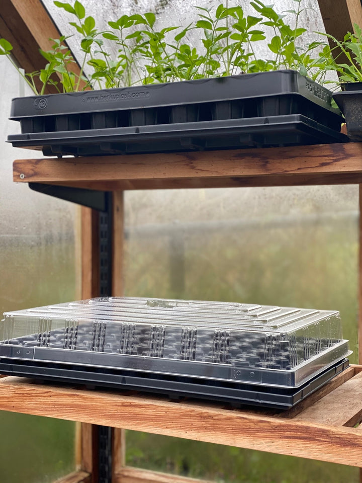 Stevige zaaitrays - zaaiplaten voor bloemen en groenten – Tuinkabouter ...